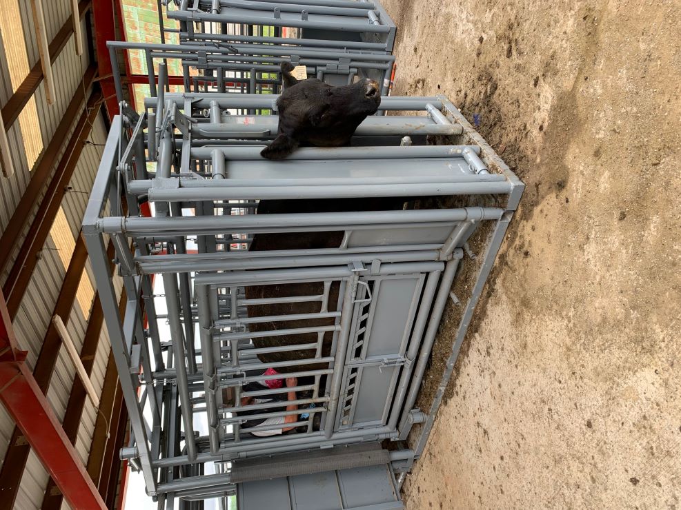 WKU AREC Student Employment & Housing Information | Western Kentucky ...