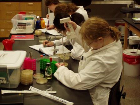 Genome Discovery and Exploration Program Gallery | Western Kentucky ...