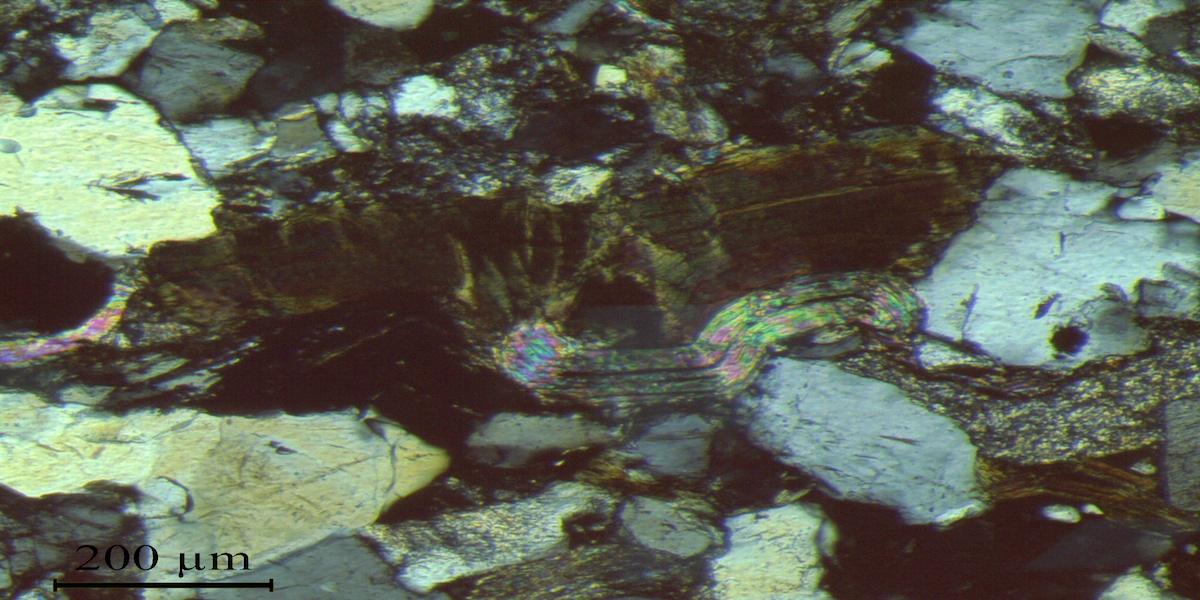 Geological Sciences | Western Kentucky University