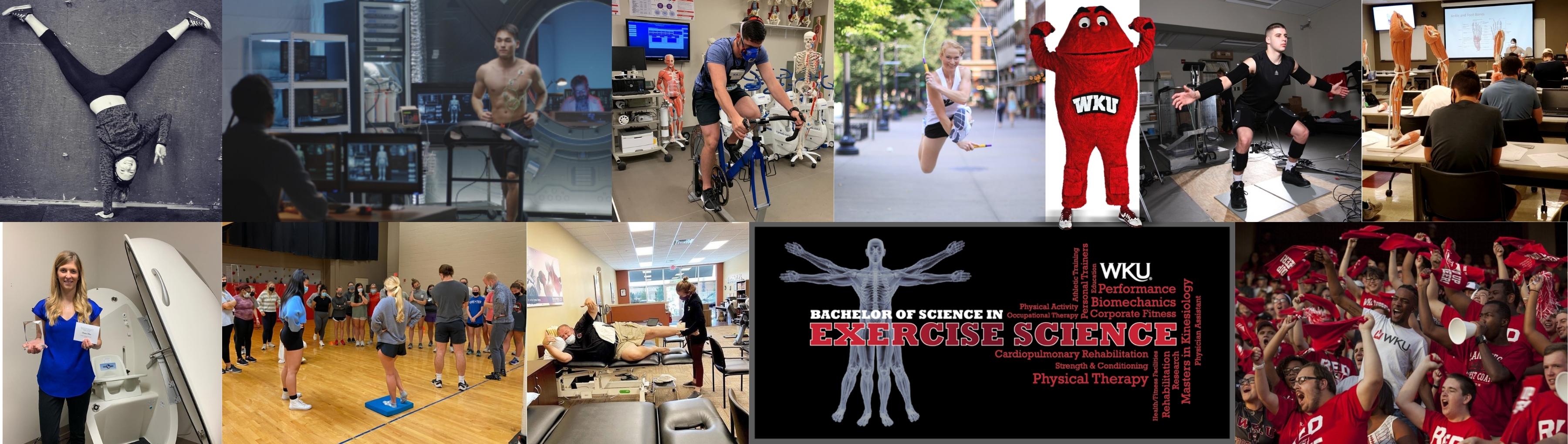 School of Kinesiology, Recreation & Sport | Western Kentucky University