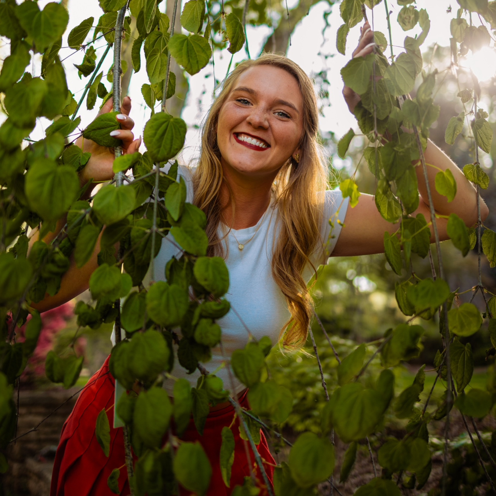 2024 Agriculture and Food Science Student Award Winners | Western ...